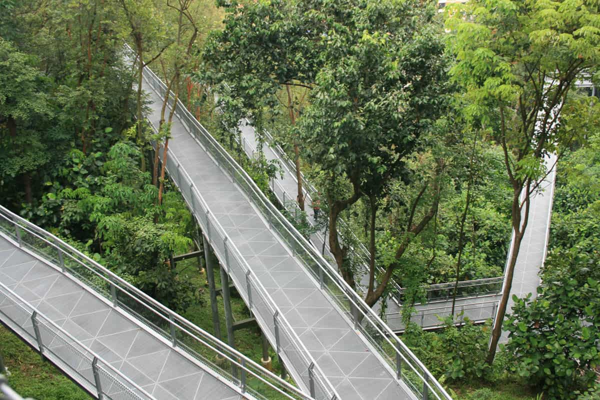 A fun-filled Singapore 7 Day Itinerary