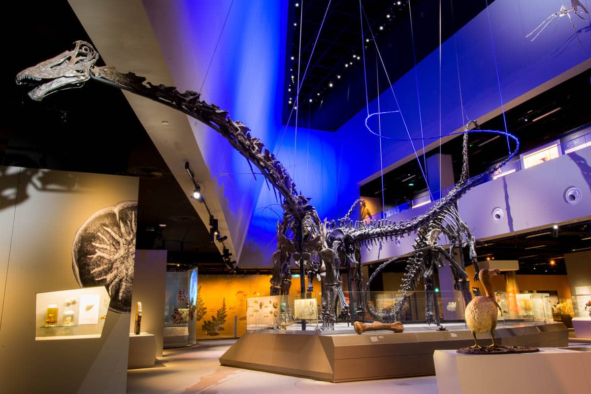 27 Best Museums and Galleries in Singapore