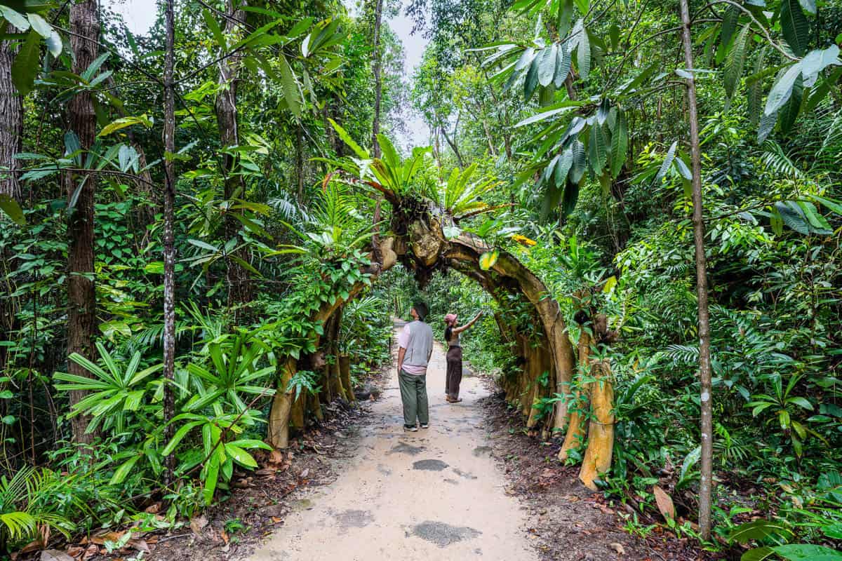 How Sentosa Is Leading the Charge for Sustainable Tourism in Asia