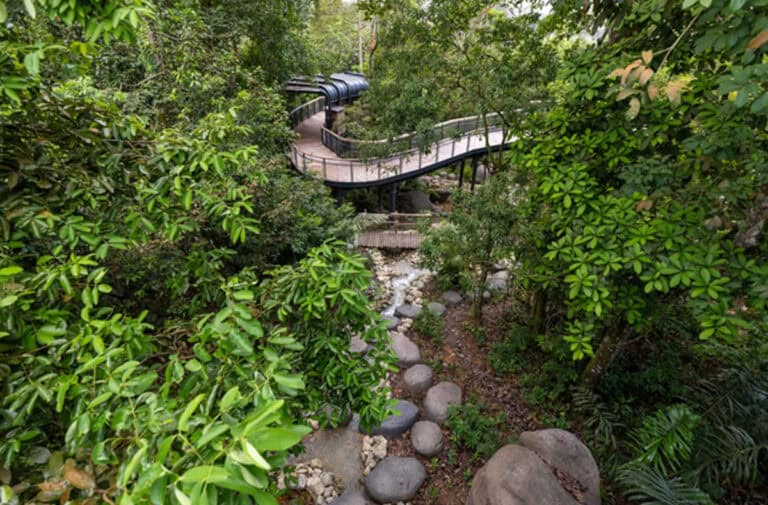 Introducing Singapore’s Newest Wildlife Park: Rainforest Wild Asia